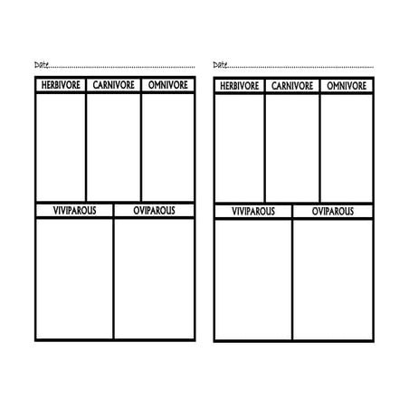 Worksheet about animal groups | PDF