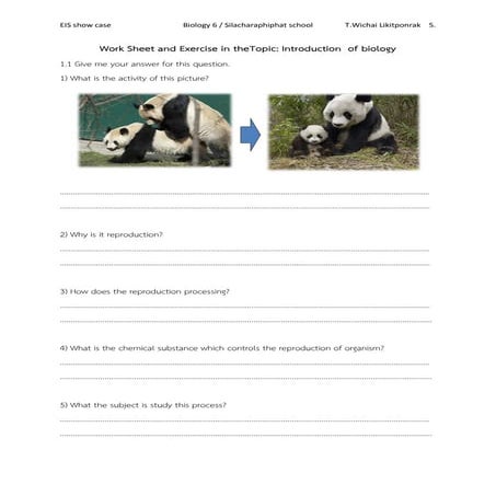 Worksheet biology M.6 | PDF