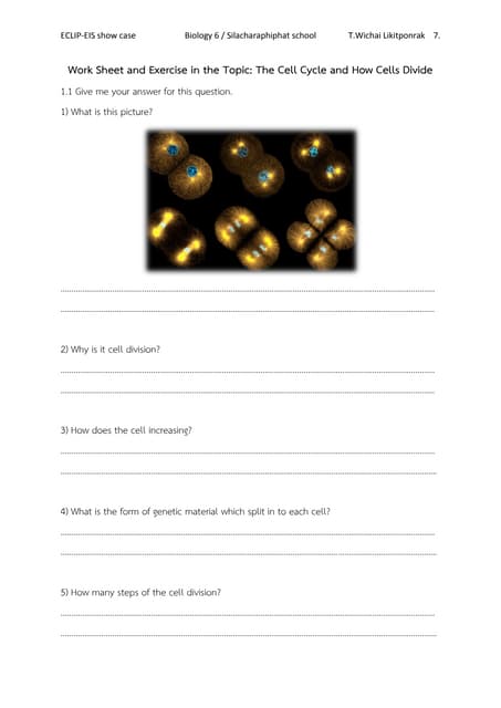 Worksheet genetics mendel | PDF