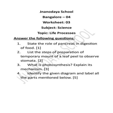 Worksheet on life processes.docx