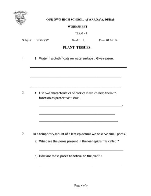 Student assessment in photosynthesis | PDF
