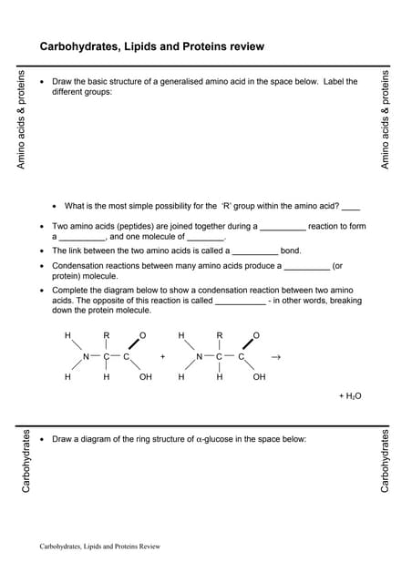 Essential Biology 03.2 Carbohydrates, Lipids and Proteins | PDF