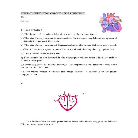 WORKSHEET THE CIRCULATORY SYSTEM.pdf/ For Biology Teachers and Students ...