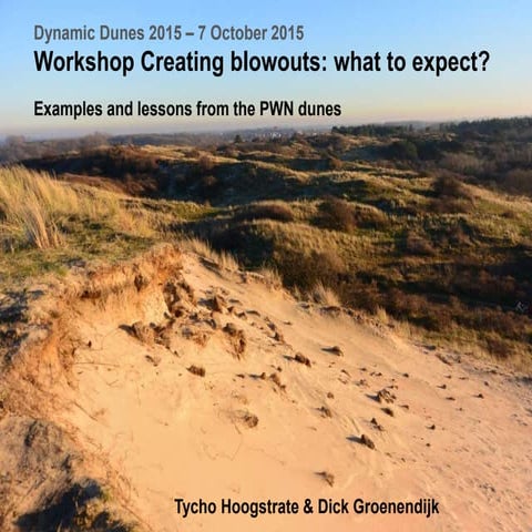 Creating blowouts | PDF