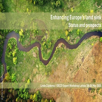 International expert workshop on forestry for the future 26-28 May 2025 ...