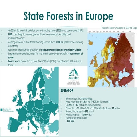 International expert workshop on forestry for the future 26-28 May 2025: Presentation by Piotr ...