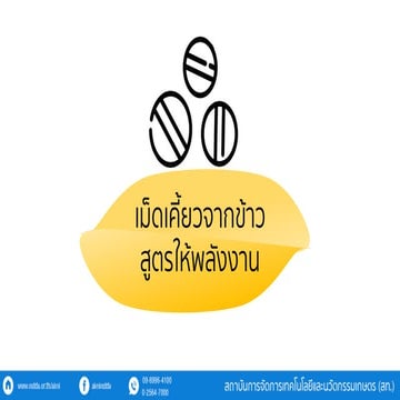 Workshop01-chewable | PPT