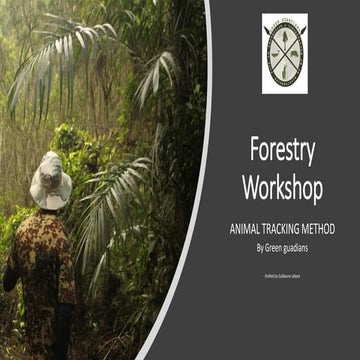 Tracking animal guide.pdf