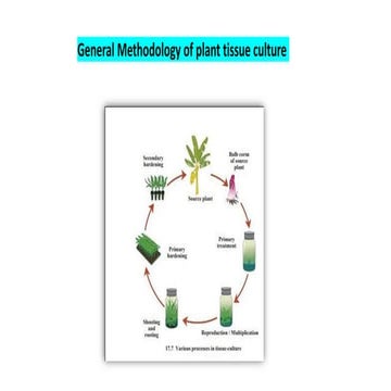 Workshop Plant Tissue Culture Techniques.pptx