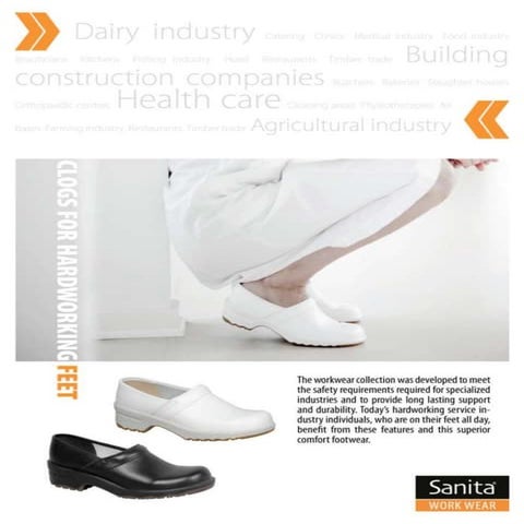 Sanita Workwear: Lisa Protector vs Lisa Safe Protector | PDF