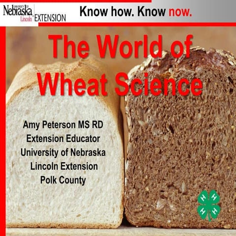 World of Wheat Science | PPT