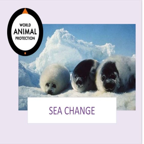 World Animal Protection - Sea Change Campaign | PPT | Free Download