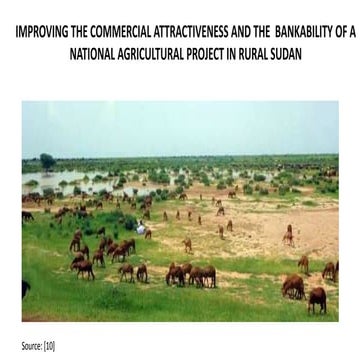 South Sudan flyer | PDF