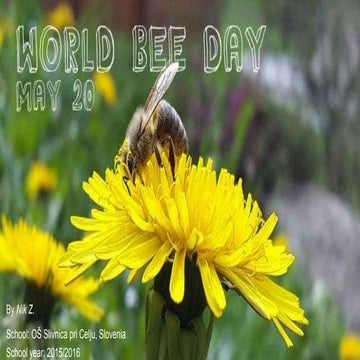World Bee Day | PPTX