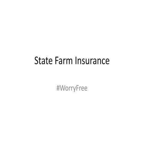 State_Farm_Campaign | PDF