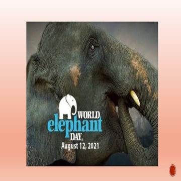 World Elephant Day | PPTX