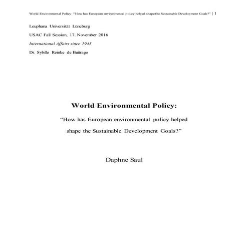 World environmental policy | PDF