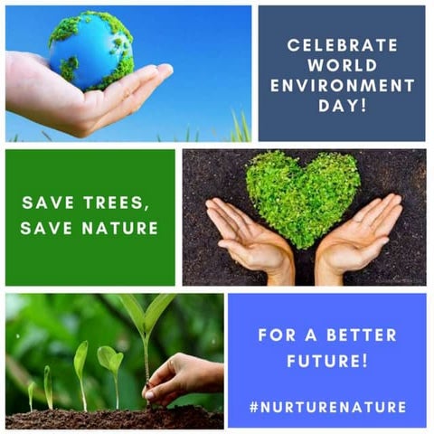 World Environment Day! | PPT