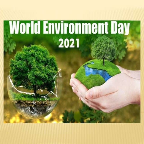 World environment day 2021 | PPTX