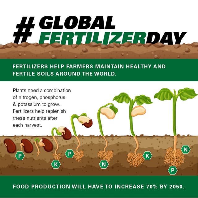 Global Fertilizer Day | PDF