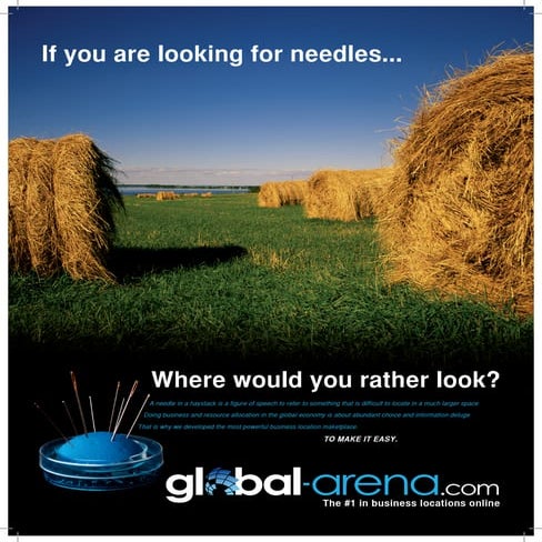 The Global-Arena.com Story | PDF