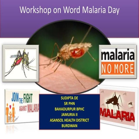 Project work malaria class 12_ HS biology project | PDF