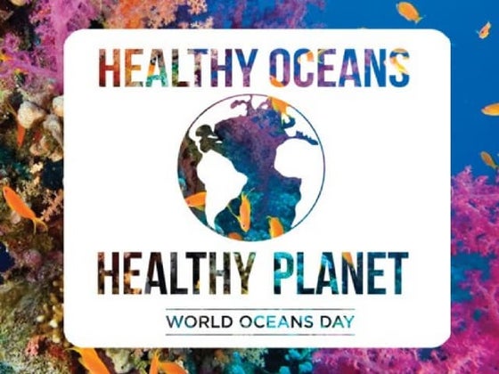 OceanFirst Campaign Toolkit | PPT