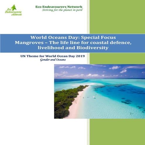 World Oceans Day | PDF