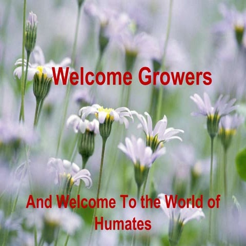 World Of Humates | PPTX