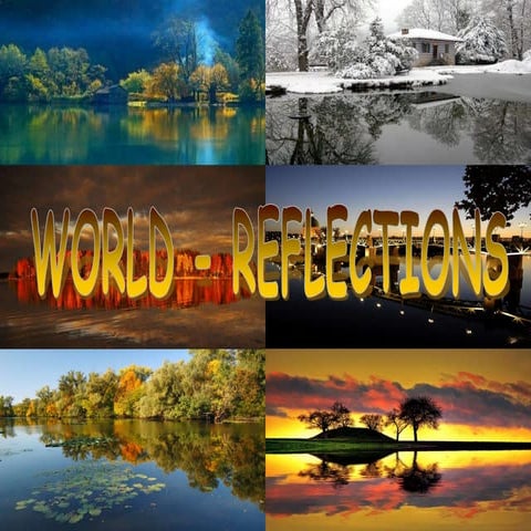 World reflections | PPS