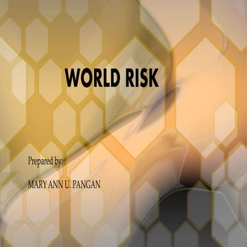 World risk | PPTX
