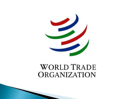 The World Trade Organization | PDF