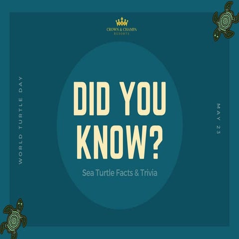 Sea Turtles in the Maldives: Facts & Trivia | PDF