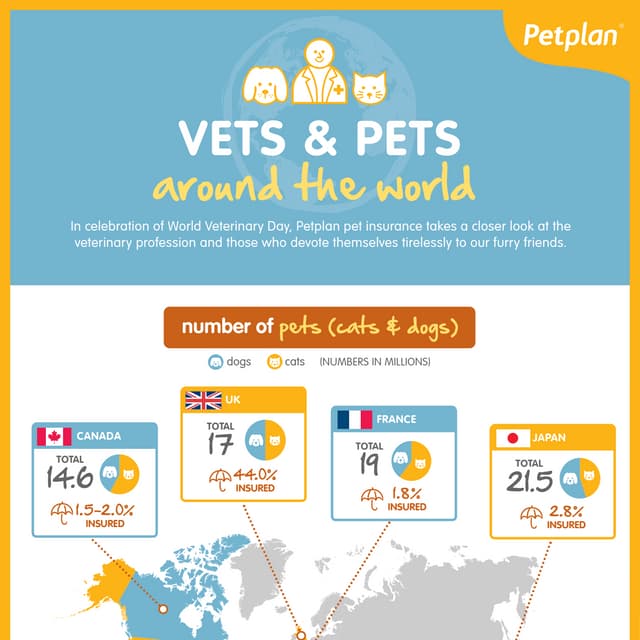 Vets & Pets Around the World | PDF