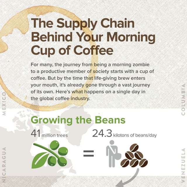 The Supply Chain Behind Your Morning Cup of Coffee | PDF
