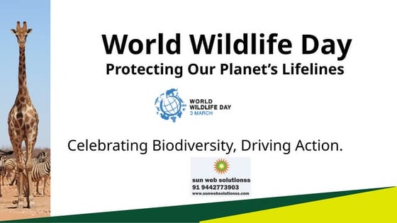 dcccccccccccccccccccccccccccccccccccc.pptx