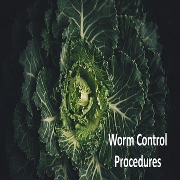 Worm Control Procedure.pdf