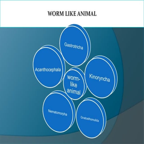 worm like animal (1).pptx