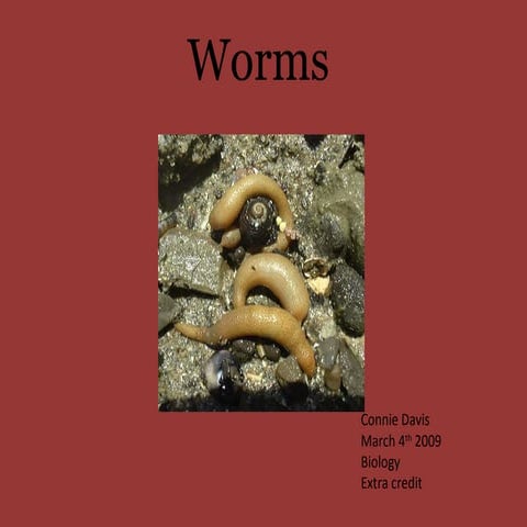 Worms | PPT