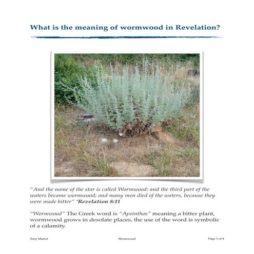 What is the meaning of wormwood in Revelation? | PDF