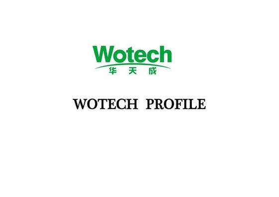 Automotive Industry | PDF