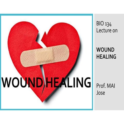 Pathology Bio 134 Wound Healing | PPT