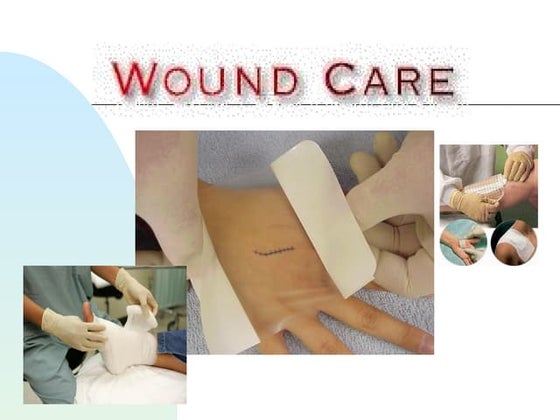 Wound Care Anatomy | PPT