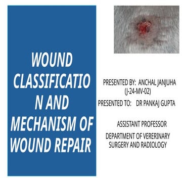 WOUND CLASSIFICATION AND MECHANISM OF WOUND REPAIR.pptx