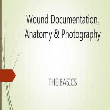 Wound documentation: anatomy & photography | PPTX