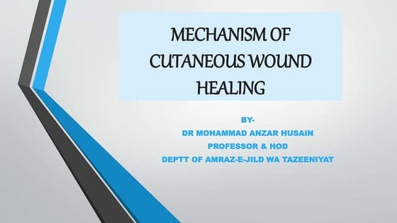 Physiology of wound healing | PPTX | Chemistry | Science