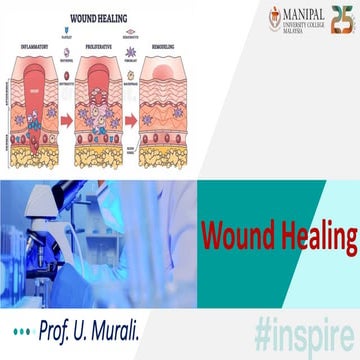 Wound Healing | PDF