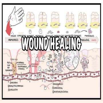 wound healing.pptx............................. | PPTX