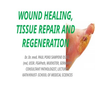 Comprehensive Overview of Wound Healing, Tissue Repair, and ...