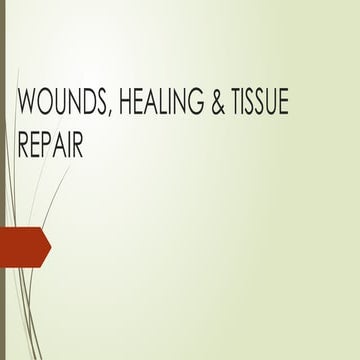 Comprehensive Overview of Wound Healing and Tissue Repair Processes | PPTX